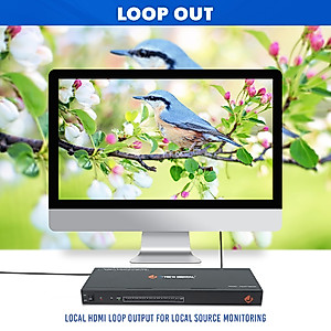 HDMI 2.0 4K Extender Splitter Over Single Cable CAT6 with PoC Up to 196 FT 1-in 8-Out w/Local Loop Output & Low Latency by J-Tech Digital [JTECH-18EX50]