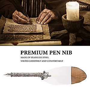 Feather Pen and Ink Set, Glittering Quill Pen Set Antique Calligraphy Dip Pen with Ink, 2 Replacement Nibs, Pen Stand Base, Luxury Vintage Signature Pen