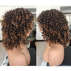 ANNIVIA Short Curly Wig for Black Women with Bangs Big Bouncy Fluffy Kinky Curly Wig Heat Resist Soft Synthetic 2Tone Ombre Darkest Brown Short Curly Afro Wig