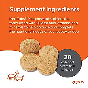 Pet-Tabs Plus Multivitamin and Mineral Supplement for Dogs with Special Nutritional Needs, Chewable Tablet, 60 Count Bottle