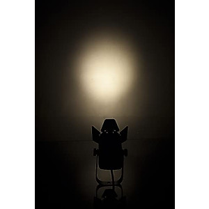 CHAUVET DJ Eve TF20 (EVETF20)