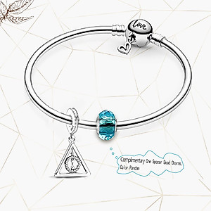 HappyStar 925 Sterling Silver Charms for Pandora Charms Bracelets and Necklaces Beads Charms Jewelry Mother's Day Gift for Women （With one Spacer Bead Charms