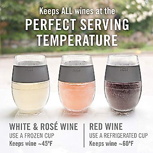 HOST Wine Freeze Cooling Cup, Plastic Double Wall Insulated Freezable Drink Chilling Tumbler with Freezing Gel | Wine Glasses for Red and White Wine, Set of 1, 8.5 oz, Coral