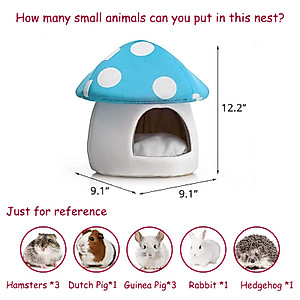 Hollypet Warm Small Pet Animals Bed Dutch Pig Hamster Nest Hedgehog Rat Chinchilla Guinea Habitat Mini House, Blue Mushroom