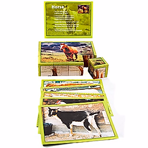 Stages Learning Wooden Farm Animal Cube Puzzle for Preschool Language Builder (SLM408)