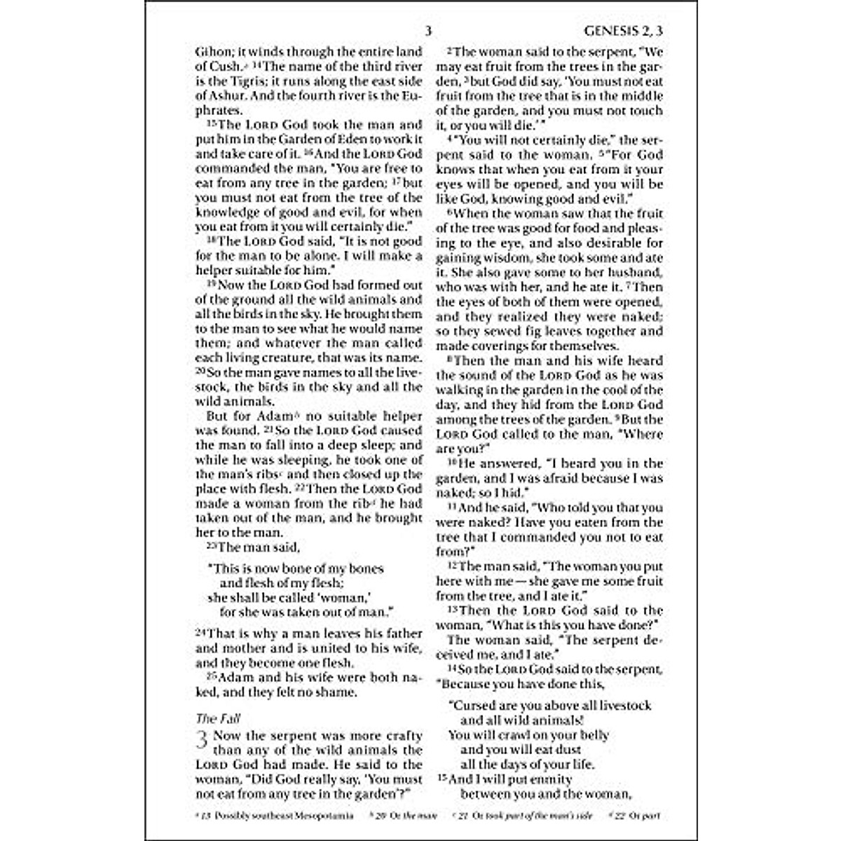 NIV, Holy Bible, Larger Print, Paperback