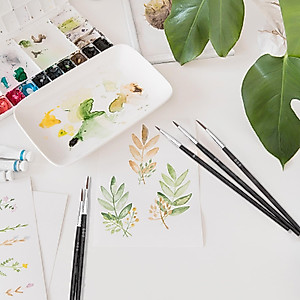 Anezus Tiny Detail Paint Brushes 30 Pcs Fine Paint Brushes Set with 3 Size #0#00#000 Liner brush for Miniature 40k Model Crafts Watercolor Acrylics Oil