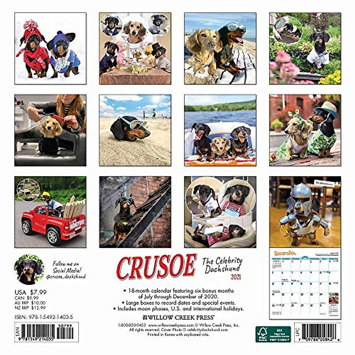 Crusoe the Celebrity Dachshund 2021 Mini Wall Calendar (Dog Breed Calendar)