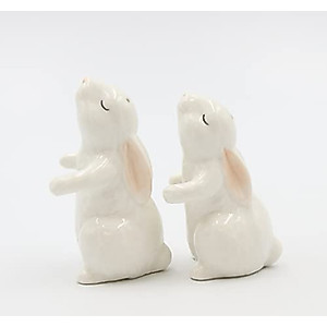 Cosmos Gifts 21011 Hugging Rabbits Salt and Pepper Shaker,White