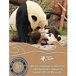 Planet Buddies Cute Panda On-Ear Bluetooth Headphones for Kids | Foldable Wireless Kids Headphones | Kids Headset with Microphone for Tablets and Phones | Child-Safe Volume for School, Music & Calls