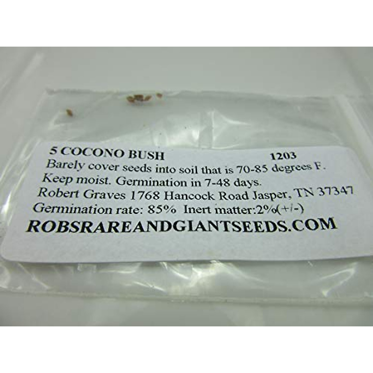 1203-Cocono (Solanum Topiro) Seeds by Robsrareandgiantseeds UPC0764425788560 Non-GMO,Organic,Historic Plants, Bonsai, Tropical Fruit,1203 Package of 5 Seeds