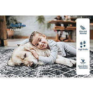 Leesentec Rugs Modern Non-Slip Soft Area Rugs for Living Room/Bedroom/Dining Room Carpet Floor Mat Home Decorative (Black/Grey, 2'7"×3'11")