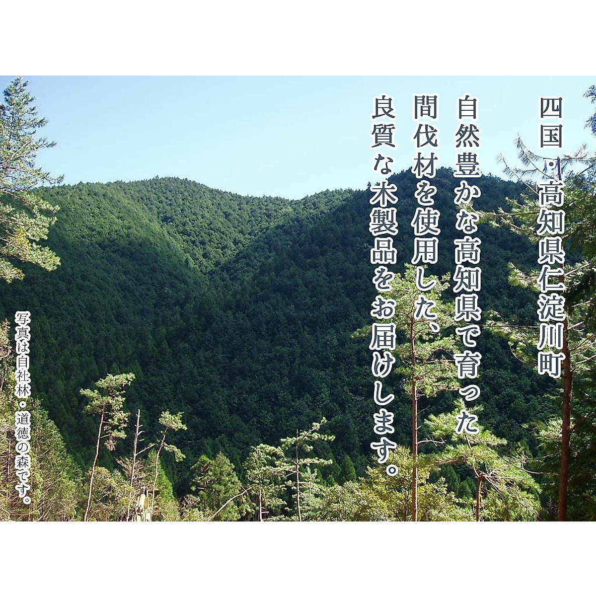 Ikekawa-Mokuzai Manufacturer Japanese-Stlye Bath Chair