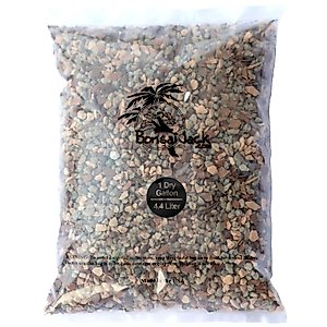 Bonsai Jack Succulent and Cactus Soil - Jacks Gritty Mix - 1 Gallon – Fast Draining – Fight Root Rot – Optimized pH …