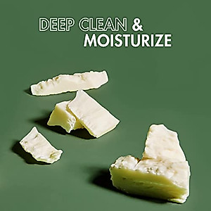 SheaMoisture Beard Wash for a Full Beard Maracuja Oil & Shea Butter to Deep Clean and Refresh Beards 6 oz