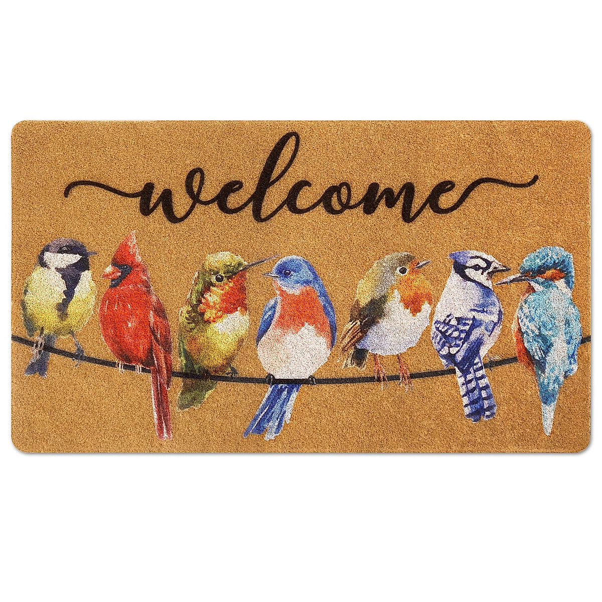 Birds On Wires Welcome Doormat, Durable Bird Welcome Rug Indoor Outdoor Hummingbird Cardinal Robin Non-Slip Rug for Entryway, Porch, Patio, Garage - 17 x 30 Inch