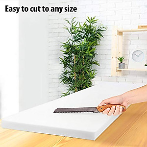 AK TRADING CO. Professional 2" Thick, 18" Wide X 72" Long Regular Density Upholstery Foam, White