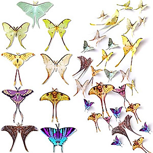63 Pcs Butterfly Wall Decor Spring Summer Decor Removable Double Sided 3D Butterfly Moth Decal 6 Inch Party Decorations for DIY Kids Nursery, TV Wall, Bedroom Decor, Wedding, Birthday Supplies