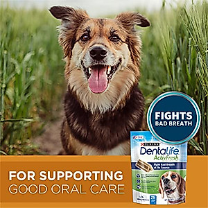 Purina Bundle Pack Adult Dry Dog Food and Treats, ONE Chicken and Rice Formula with DentaLife ActivFresh