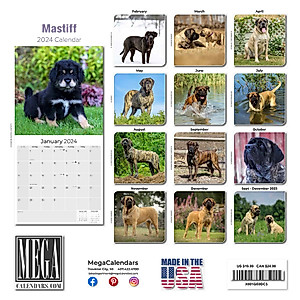 2023 2024 Mastiff Calendar - Dog Breed Monthly Wall Calendar - 12 x 24 Open - Thick No-Bleed Paper - Giftable - Academic Teacher's Planner Calendar Organizing & Planning - Made in USA