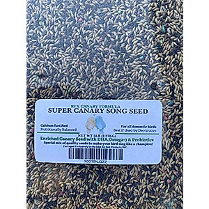 Canary Song Seed 5lb-Improve Singing