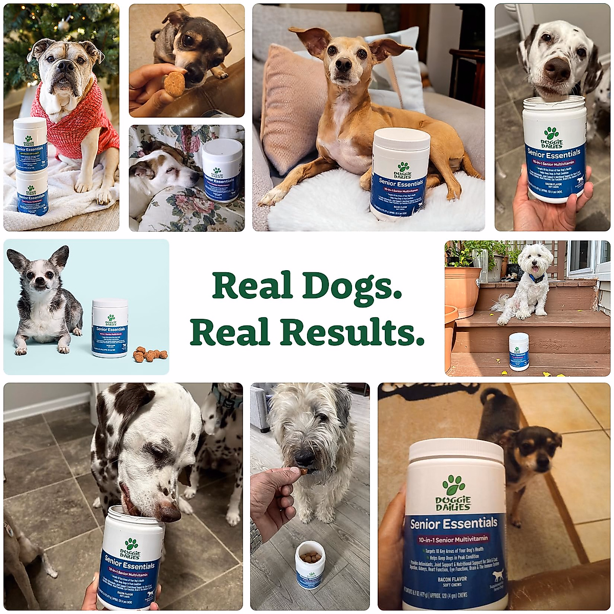 Doggie Dailies Senior Essentials Multivitamin for Dogs Soft Chews | Advanced Dog Multivitamin | Nutritional Support for Joints, Skin & Coat, Digestion, and the Immune System | Bacon Flavor | 120 Count