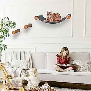 LSAIFATER Cat Hammock Wall Mounted Large Cat Perch with 2 Cat Wall Steps - Cat Wall Shelves for Indoor Cats or Kitty - Premium and Modern Cat Furniture for Sleeping, Playing, Climbing (Grey)