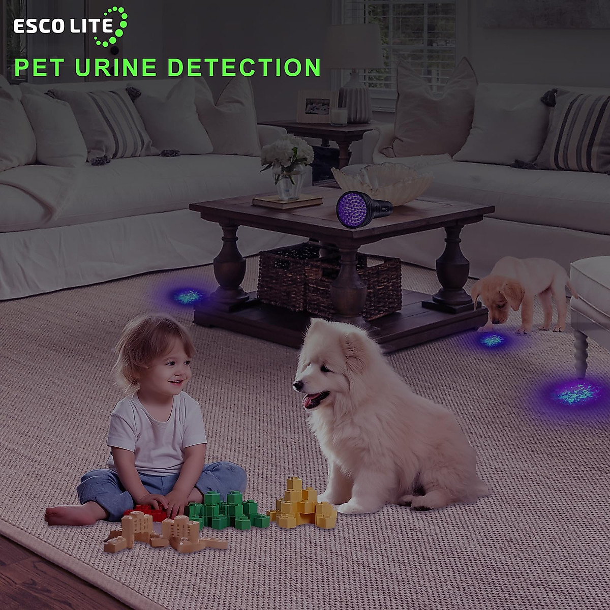 Escolite UV Flashlight Black Light 51 LED 395 nM Ultraviolet Blacklight Flashlite for Pet Urine Detection,Dry Stains,Bed Bug,Scorpion,Dog/Cat Urine Light Detector Matching with Pet Odor Eliminator
