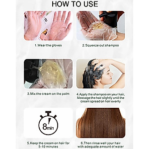 DISAAR Beauty Speedy Hair Color Shampoo 100% Cover Gray White Hair Easy To Use Long Lasting 400ml/13.53fl.oz (Natural Brown)