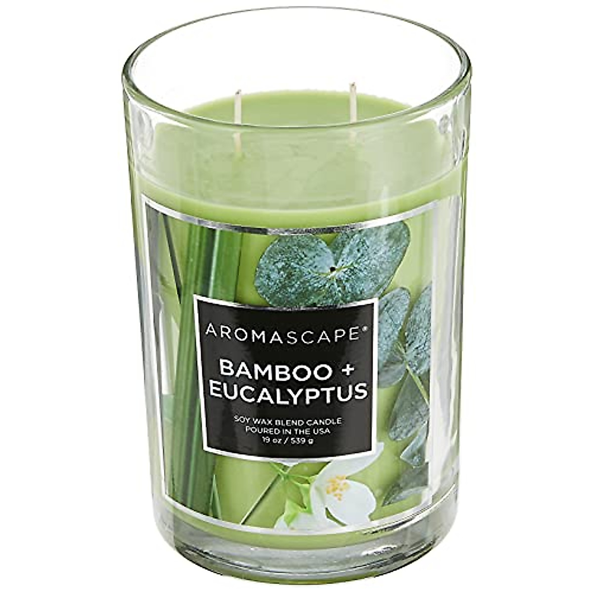 Aromascape PT41900 2-Wick Scented Jar Candle, Bamboo & Eucalyptus, 19-Ounce, Green