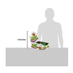 Tootsy-Roll Caramel Apple Pops - Caramel Covered Green Apple Candy Lollipops - Gluten Free Candy with Display Box Package with Couger Card Bundle - 48 Count