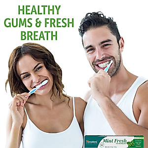 Himalaya Mint Fresh Gel Toothpaste, Fluoride Free to Reduce Plaque & Brighten Teeth, 6.17 oz