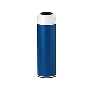 Everpure EV9108-13 CGT-10s Cartridge