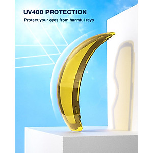 ZIONOR Lagopus X4 Ski Snowboard Snow Goggles Replacement Lenses (VLT 78% Bright Lens)