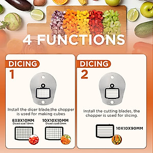 LIANQIAN 4 in 1 Electric Vegetable Chopper, Multifunctional Food Cutter＆Slicer, Mandoline Slicer & Cheese Grater, 200W Multi Blade French Fry Cutter & Veggie Slicer＆Dicer with Cut-Resistant Gloves