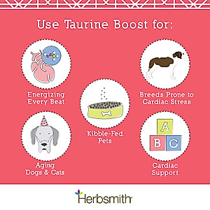 Herbsmith Taurine Boost - Cardiac and Heart Support for Dogs and Cats - Taurine Supplement for Dog and Cat Heart Health – with CoQ10, Taurine and L-Carnitine for Dogs - 75g