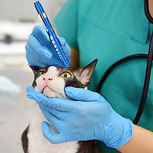 Penlight for Nurse Pen Light LED Reusable Pen Light with Pupil Gauge Nurses Pin Light for Torch Medical Students Doctors Daily Use with Pocket Clip Nurse Gifts(15 Pieces,Basic Colors)