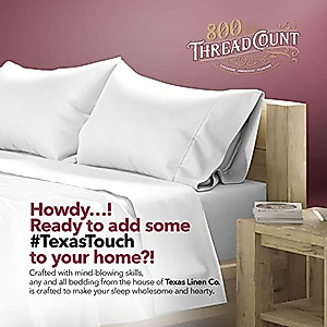 TEXAS LINEN CO. Egyptian Cotton Queen Sheet Set, 800 TC 4 PC Silver Grey Egyptian Cotton Sheets for Queen Size Bed, Extra Long Staple Cooling Sheets, Luxury Hotel Sheets, Deep Pocket Queen Sheets Set