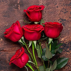 Rose Scented Premium Lone Star Candles & More's Hand Poured Soy Wax Melts, The Authentic Scent of Fresh Cut Roses, 18 Strongly Scented Wax Cubes, USA Made in Texas 3-Pack