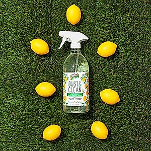 Endust Plant-based Multi-surface Dusting & Cleaning Spray, 24 Fl Oz (Pack of 2)