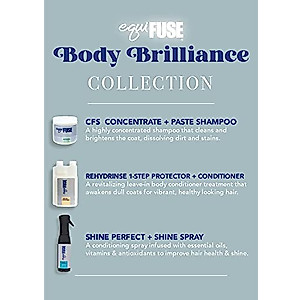 EquiFUSE CFS Concentrate + Paste Horse Shampoo | Formulated for Deep Cleansing and Superior Shine on Hair |100% All-Natural Coat Brightener | 16 oz