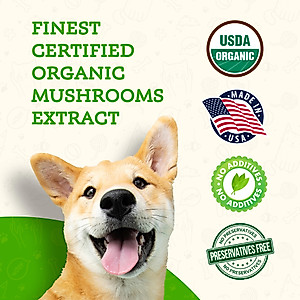 Animal Essentials Focus Lions Mane Mushroom Supplement for Dogs & Cats - Supports Brain Health, Cognitive Function, Healthy Immune Response, Mushroom Powder Extract - 1.8 Oz (Pack of 1)