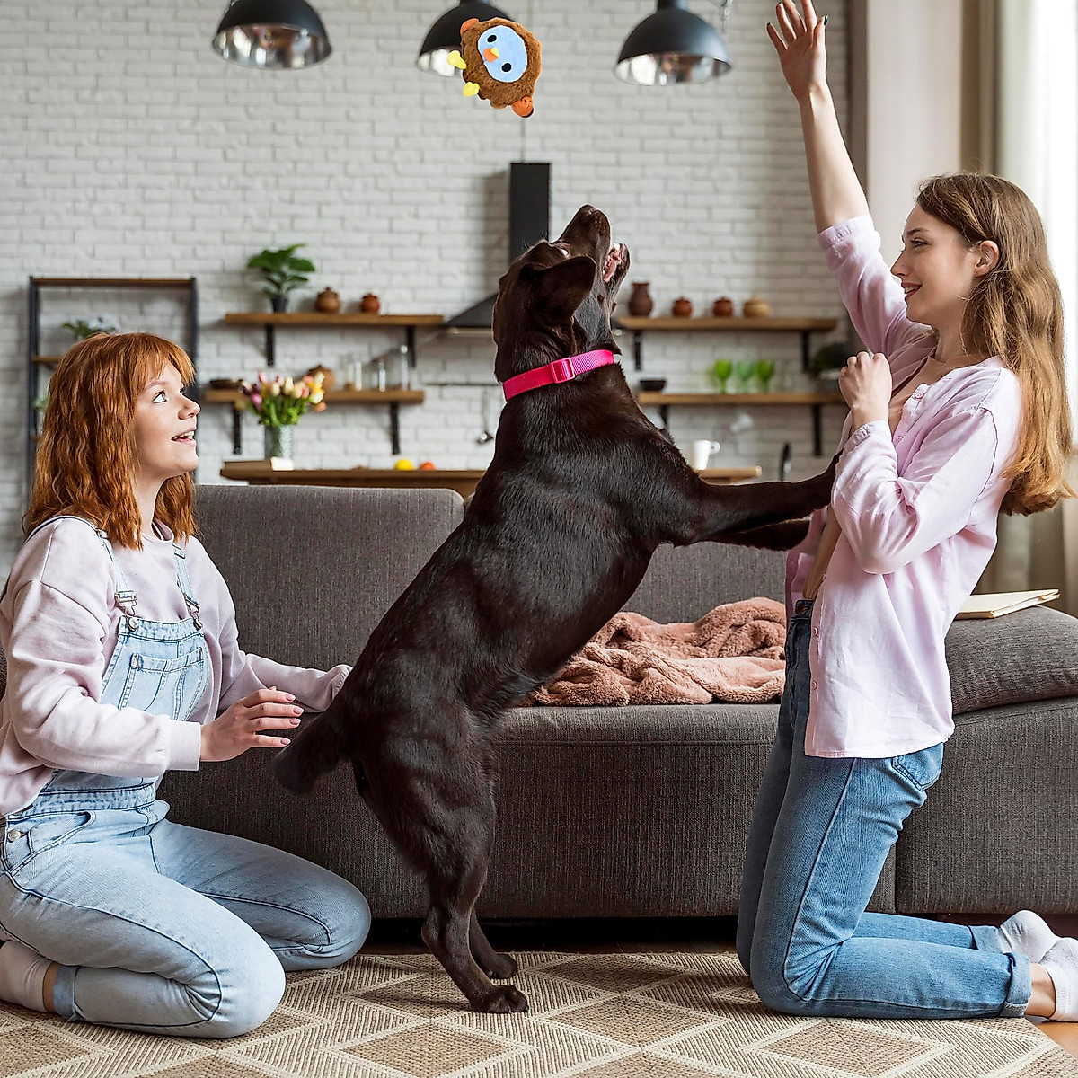 Flourish Pets 2 in 1 Multi-Layer Chew Toy for Active Dogs | Non-Toxic BPA Free Double Stitched Soft Fabric Exterior Dog Toys | Long-Lasting Dog Plush Toys – Turkey + Pumpkin (4”)