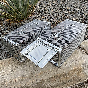 AOK Home Mouse Trap Rat Trap Rodent Trap Live Catch Cage Easy to Set Up and Reuse 11x6x4.5 inch
