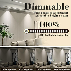 Chinnor E11 Led Bulb 75w 100w Equivalent Dimmable,Daylight 6000K,T3 T4 JDE11 Mini Candelabra Base 110V 120V 130V 100W Halogen Replacement, Pack of 2