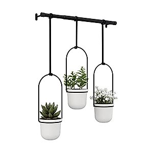 Umbra Triflora Hanging Planter for Window, Indoor Herb Garden, White/Black, Triple