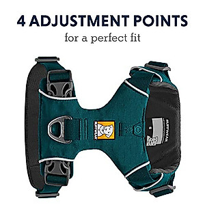 RUFFWEAR, Front Range Dog Harness, Reflective and Padded Harness for Training and Everyday, Tumalo Teal, Medium