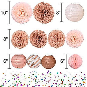 Rose Gold Party Decorations, Tissue Pom Poms, Paper Lanterns, Honeycomb Ball, Paper Circle Dots Garlands, 13 Pcs Hanging Party Supply Set for Wedding Bridal Shower Baby Shower Birthday - Rose Gold