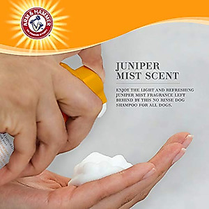 Arm & Hammer Ultra Fresh No Rinse Deodorizing Foam for Dogs, Juniper Mist, 8 Oz | Waterless Dog Shampoo | Baking Soda Neutralizes Bad Odors for an Advanced Clean