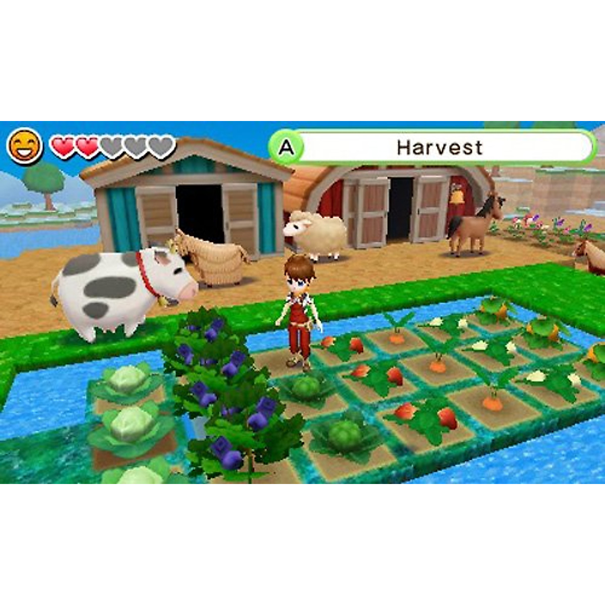 Harvest Moon Skytree Village - Nintendo 3DS